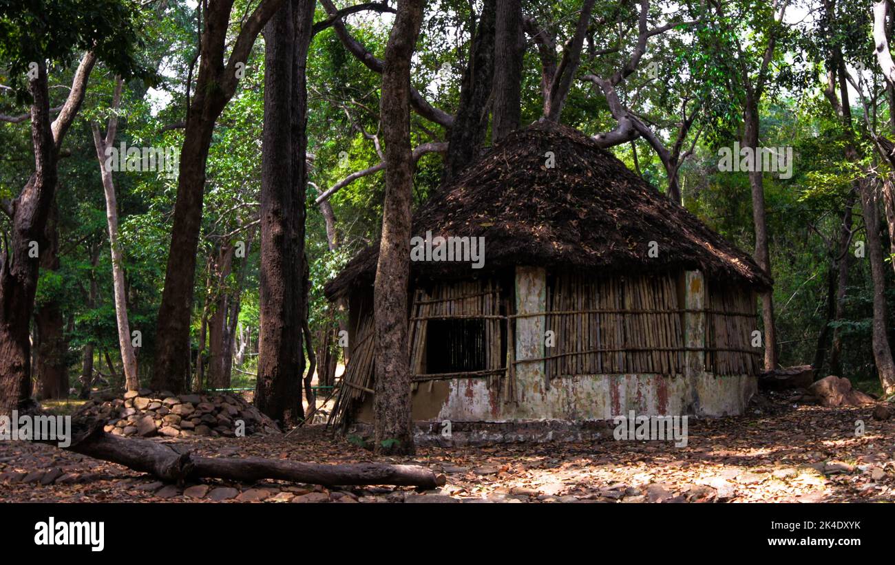 An old log abandoned wooden cabin inside a forest Stock Photo - Alamy