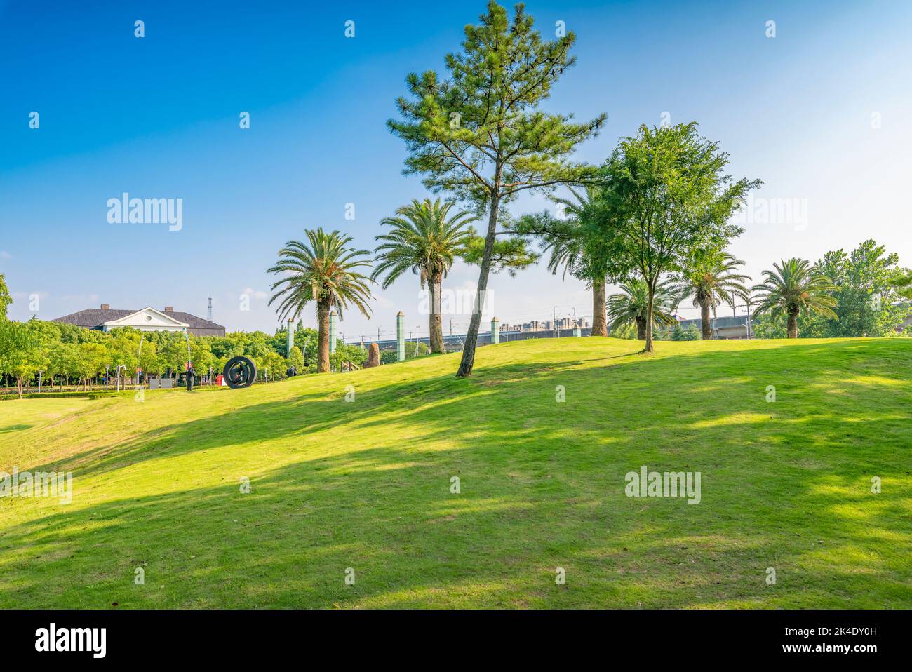 Palm trees in Meilan Lake Park, Shanghai, China Stock Photo - Alamy