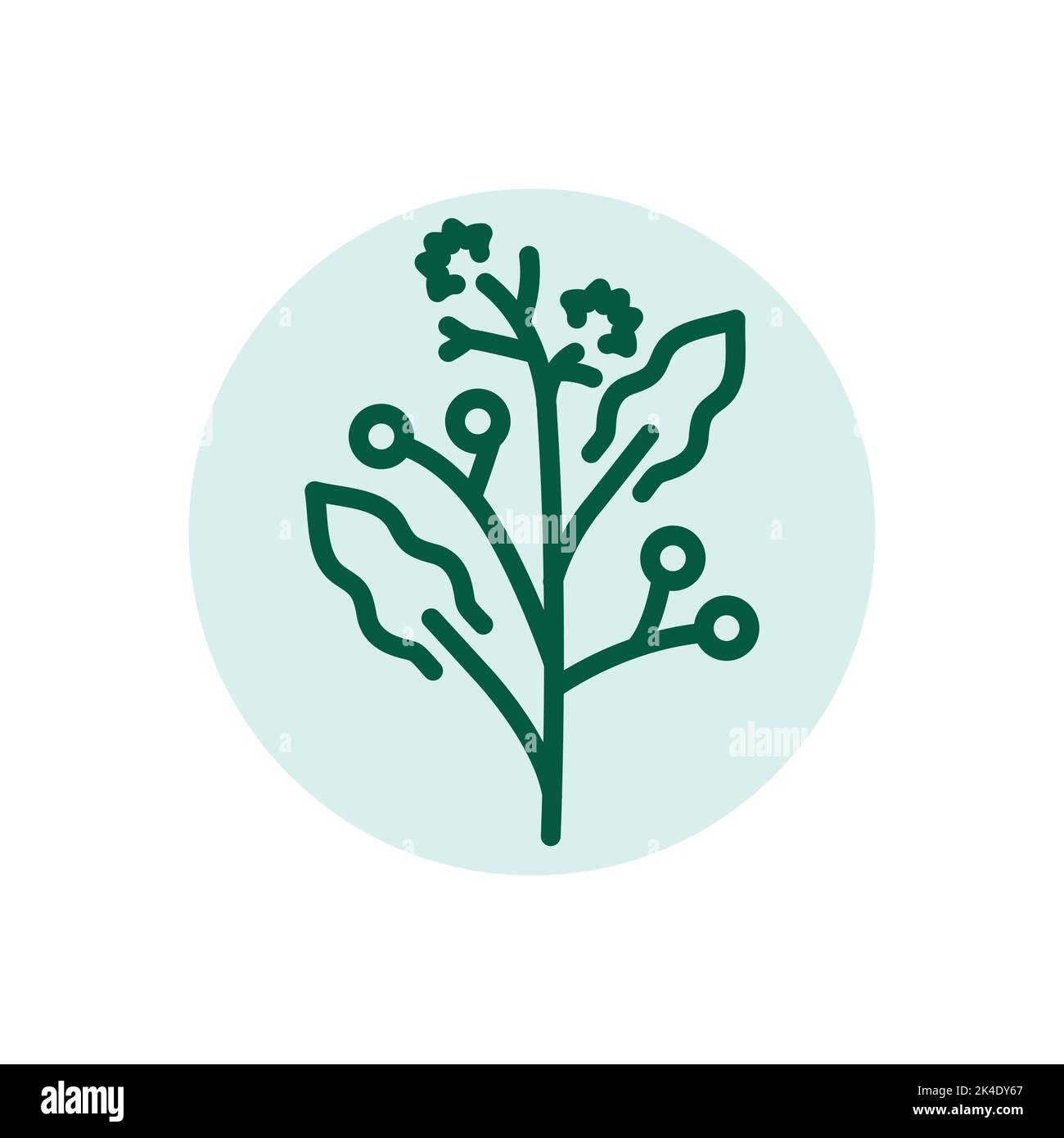 Camphor olor line icon. Pictogram for web page Stock Vector Image & Art ...