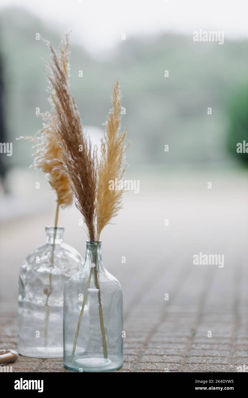 Wedding decor, fluffy reeds in a glass jar outside Stock Photo - Alamy