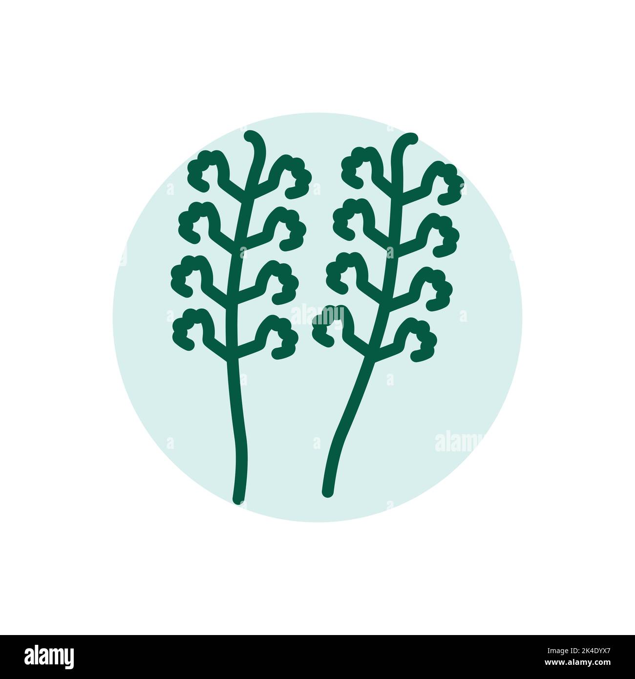 Tuberose olor line icon. Pictogram for web page Stock Vector Image ...