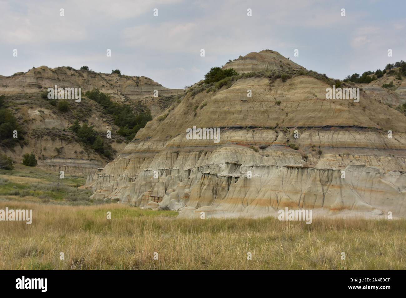 Scenic landscape with sandstone mounds and a field with prairie grass ...