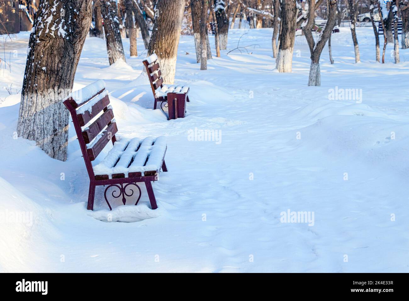 empty park in winter. empty benches covered with white snow among trees ...