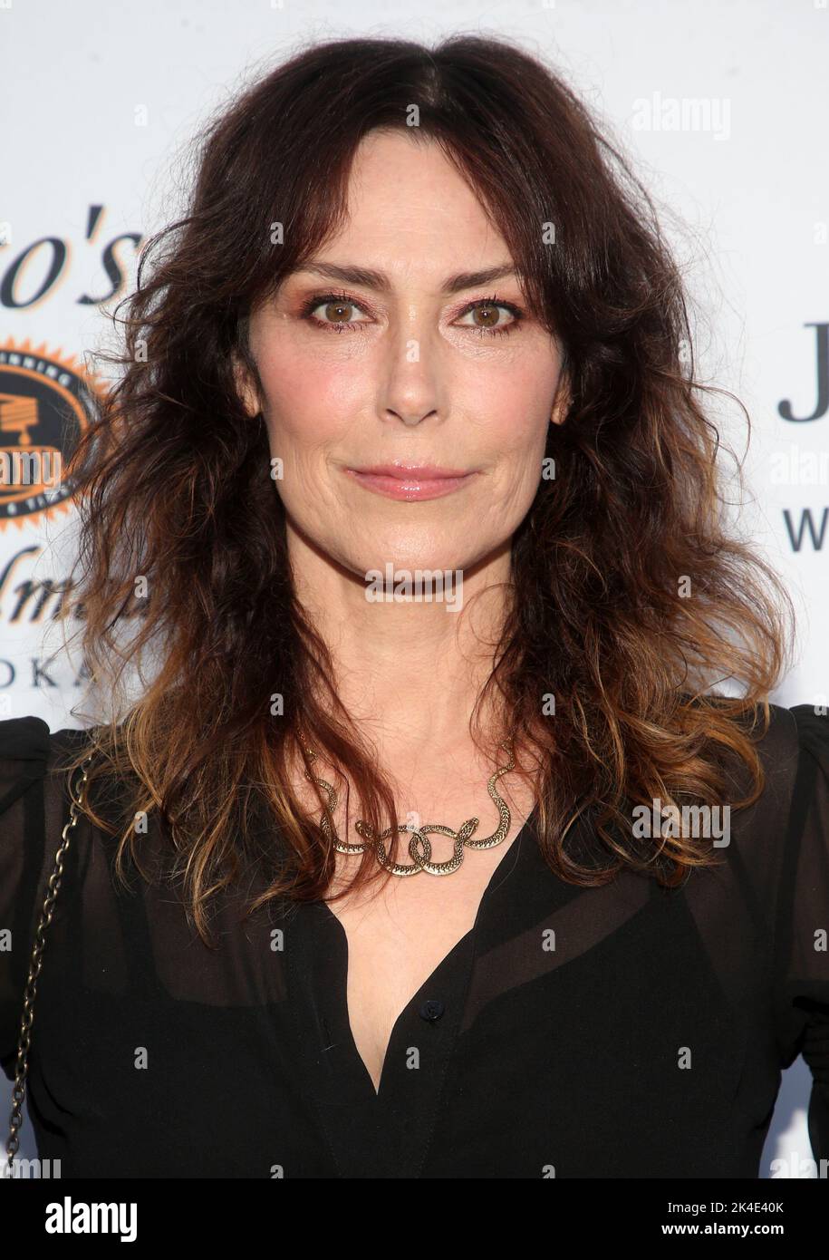 Michelle Forbes 2022