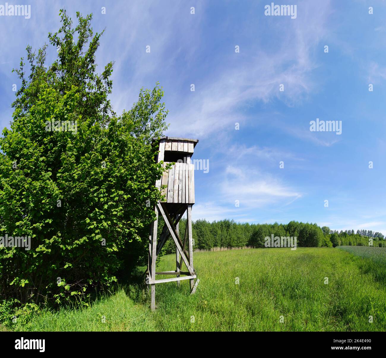 Jagd hochsitz hi-res stock photography and images - Alamy