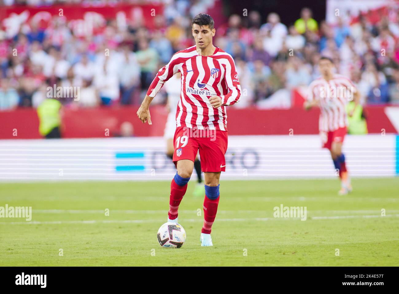 Alvaro Morata of Atletico de Madrid during the Spanish championship La ...