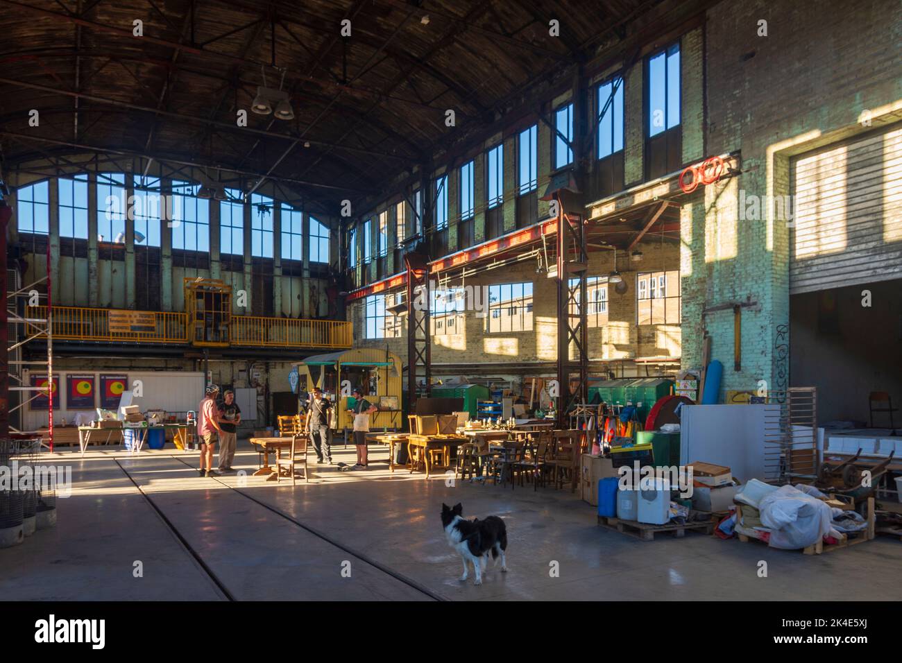 Dudelange (Diddeleng, Düdelingen): building of Regional Cultural Center ...