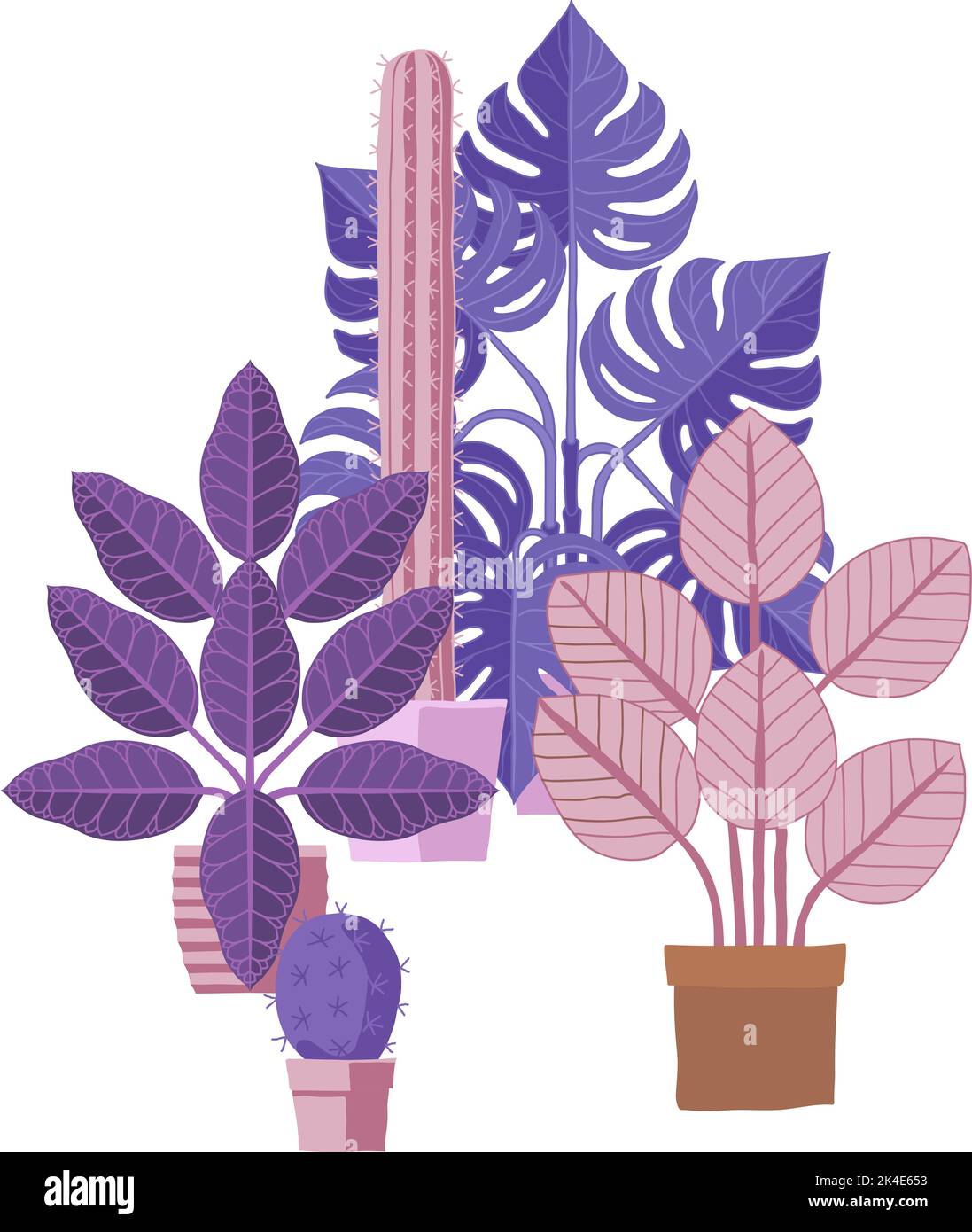 House Plants Pots Cartoon Houseplants Illustration Stock Vector Image ...