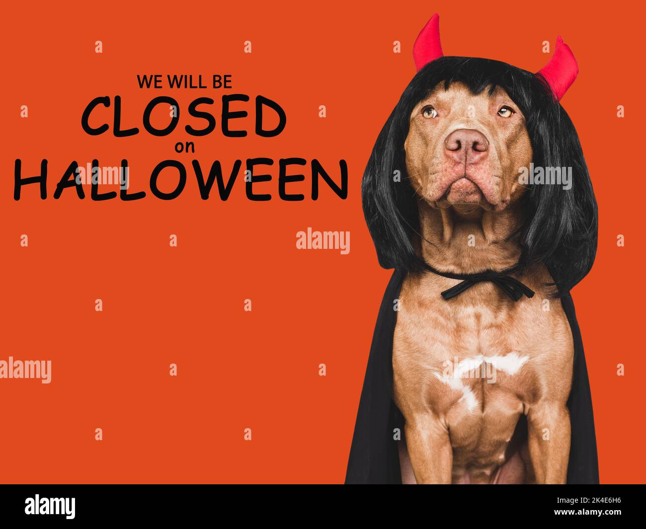 Signboard with the inscription We will be closed on Halloween. Lovable ...