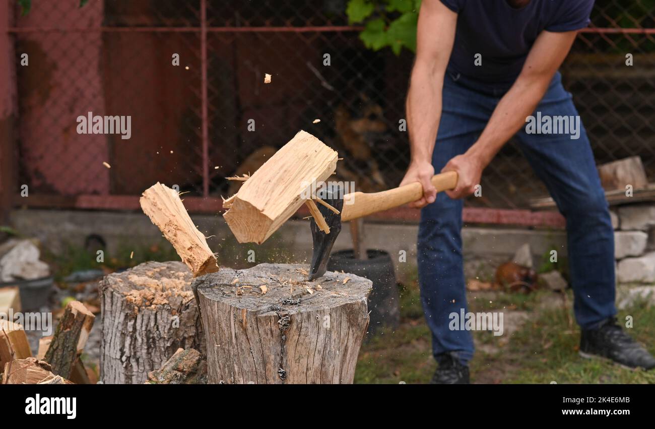 The log shatters with splinters. close-up. woodcutter is chopping wood ...