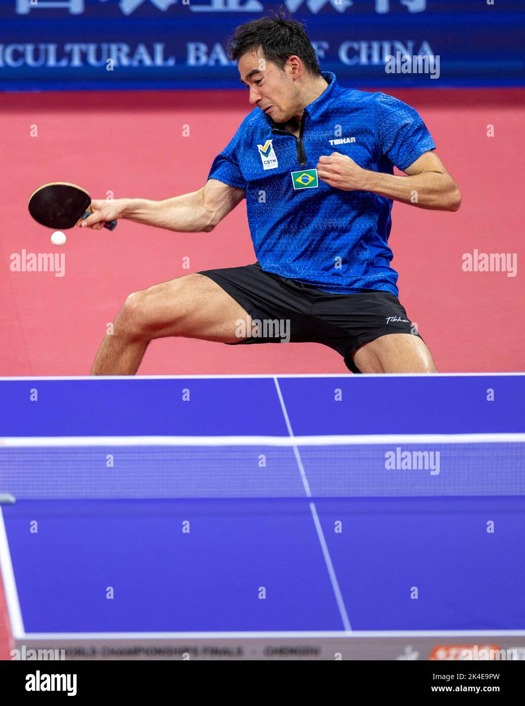 CHENGDU, CHINA - OCTOBER 2, 2022 - Hugo Calderano of Brazil competes ...