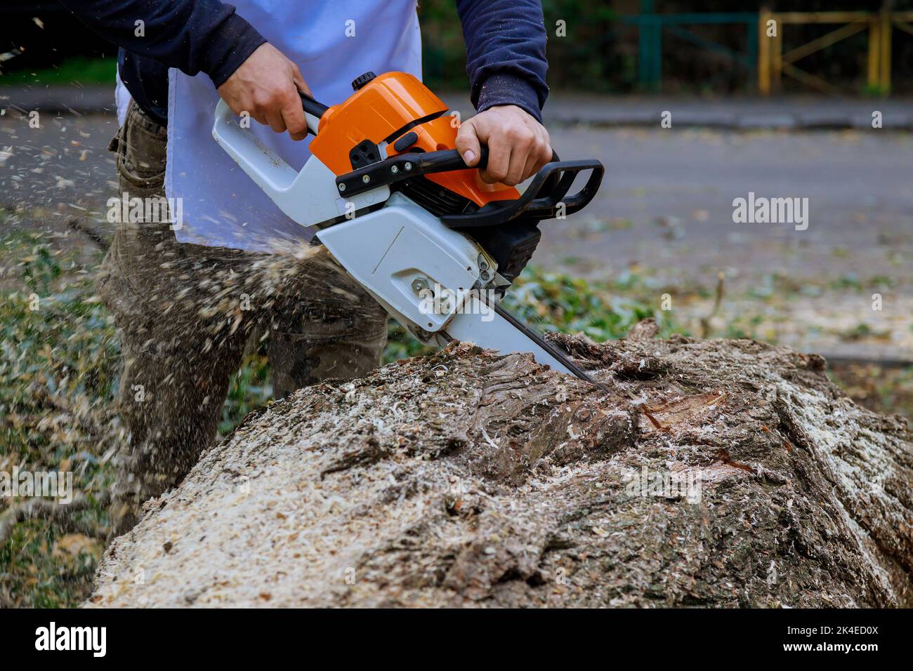 During a hurricane storm, a worker is working with a chainsaw and ...