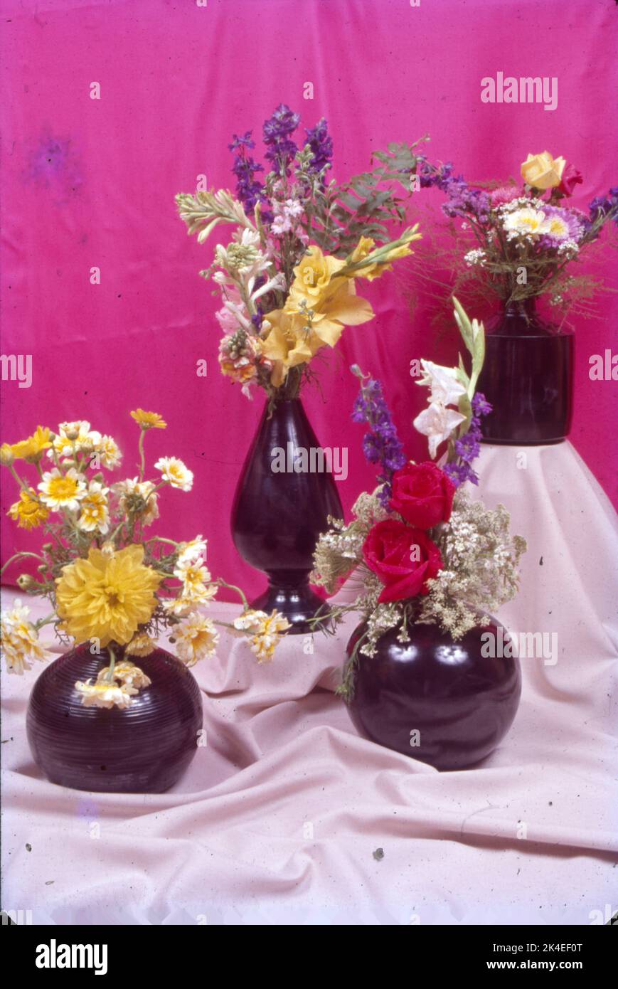 Multiple flower arrangements hi-res stock photography and images - Alamy