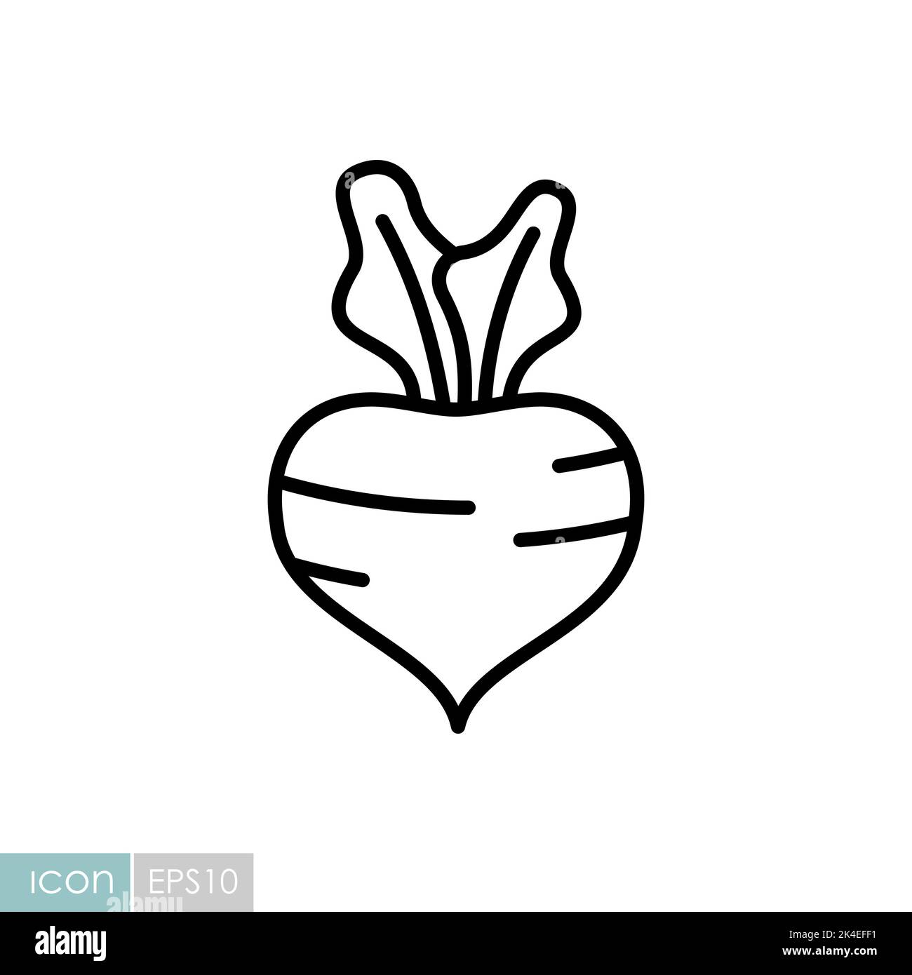 Beetroot isolated vector icon. Vegetable sign. Graph symbol for food ...