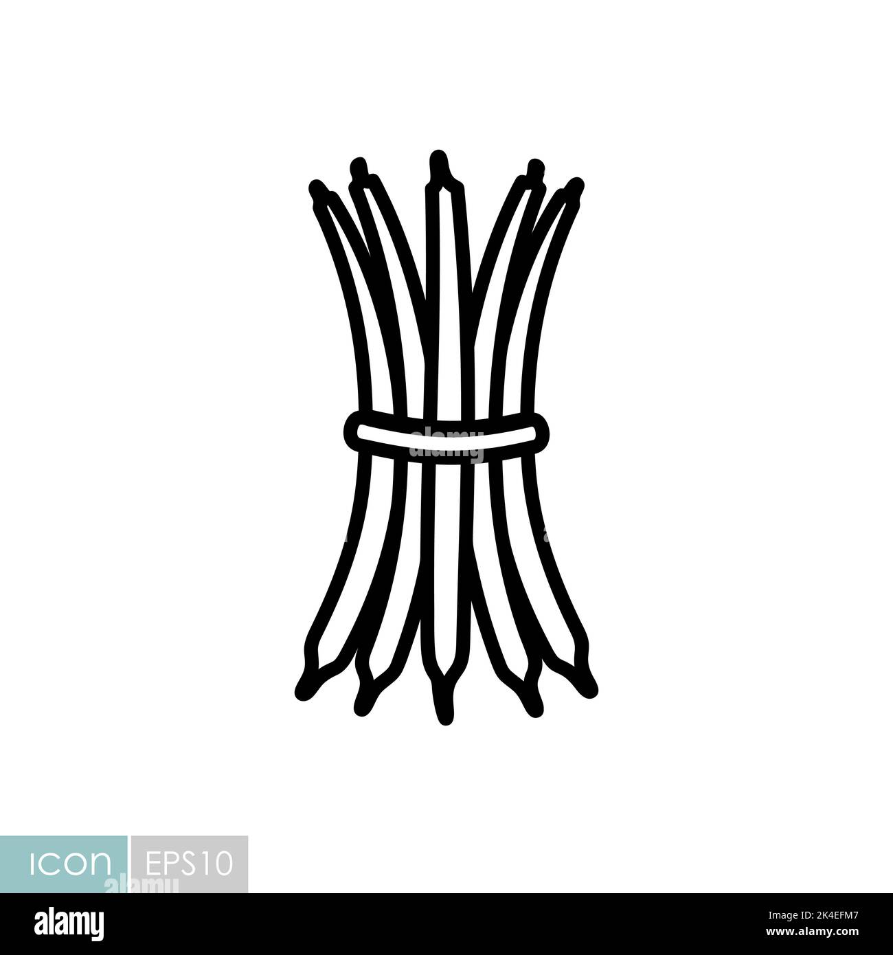 Green beans bound sheaf isolated vector icon. Vegetable sign. Graph ...