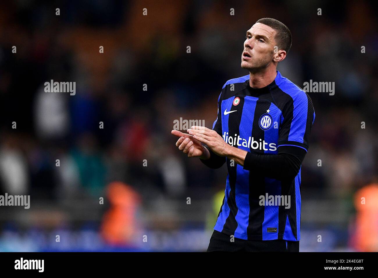 Gosens robin hi-res stock photography and images - Alamy