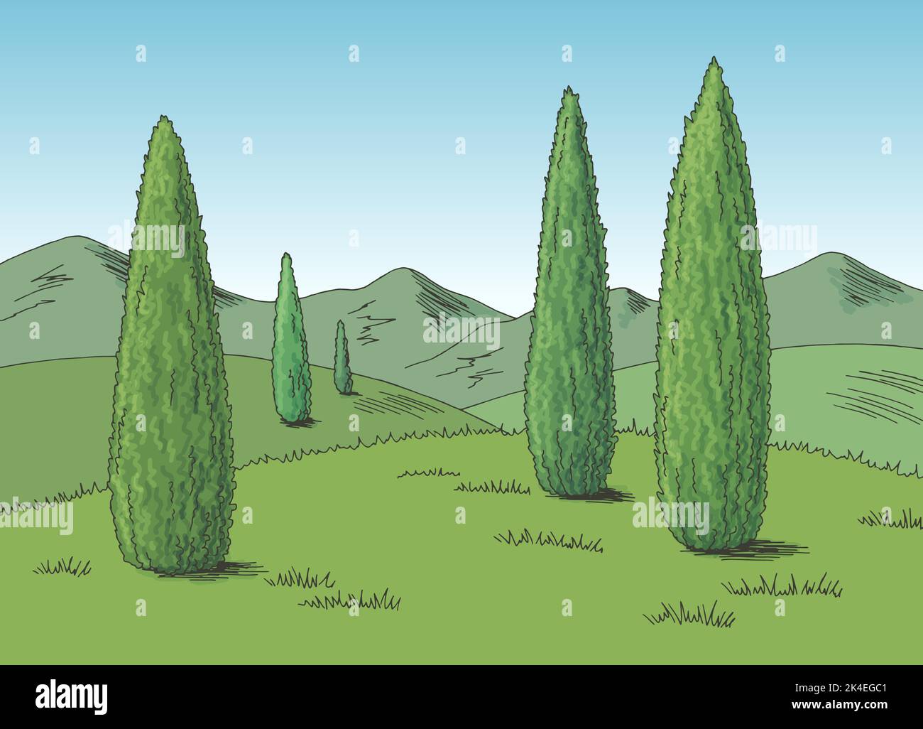 Cypress landscape graphic cypress color sketch illustration vector ... Cypress landscape graphic cypress color sketch illustration vector ...