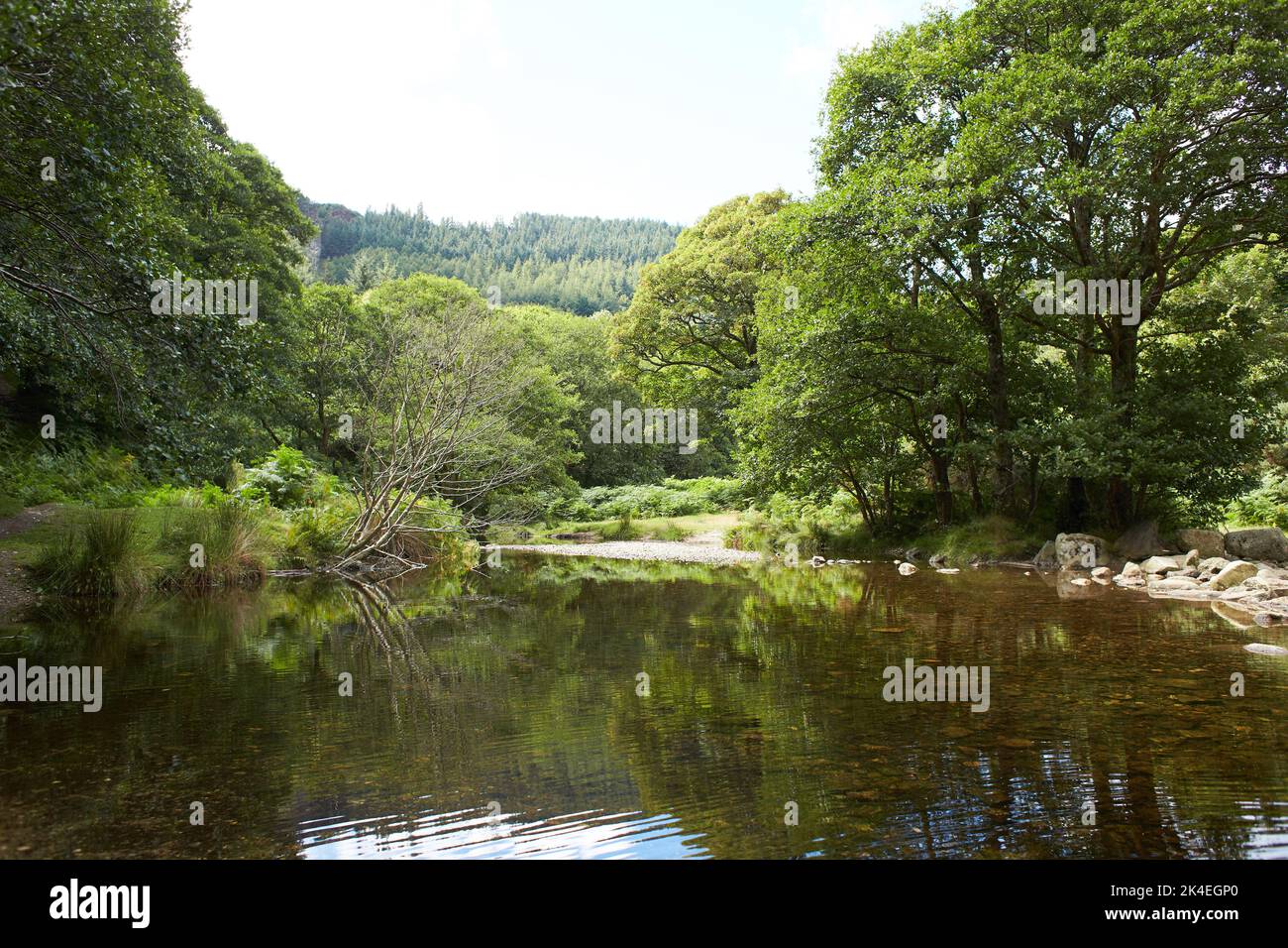 Majestic forest round water cascade of Powerscourt Waterfall, the ...