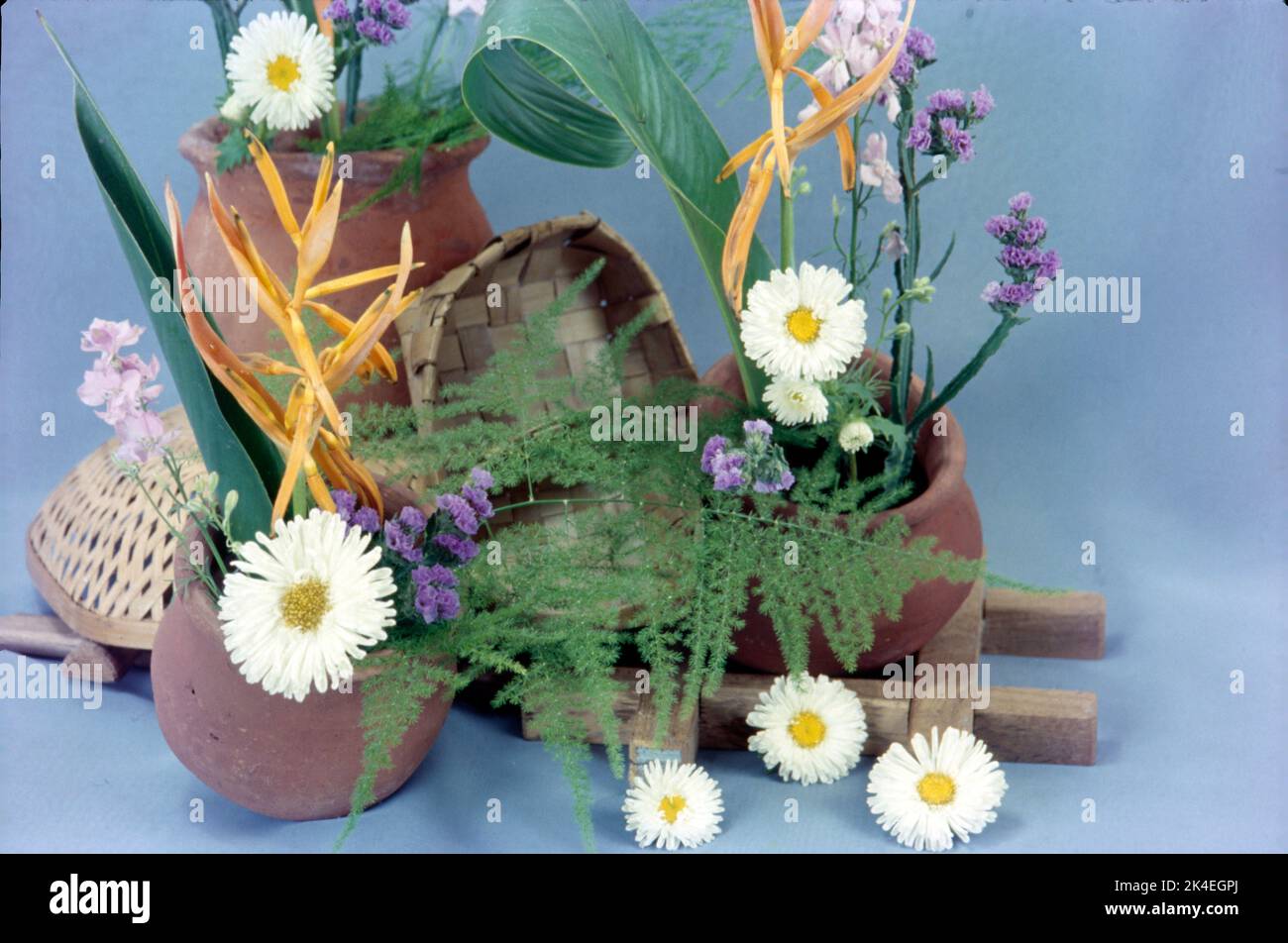 Multiple Flower Arrangement in Clay Pots & Basket Stock Photo - Alamy