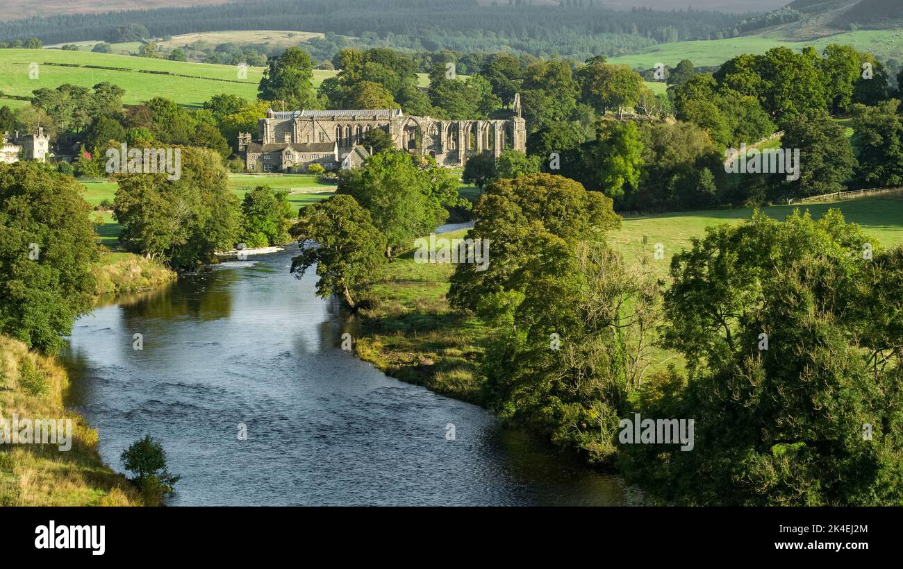 Early morning sunshine illuminates Bolton Abbey in Wharfedale, North ...