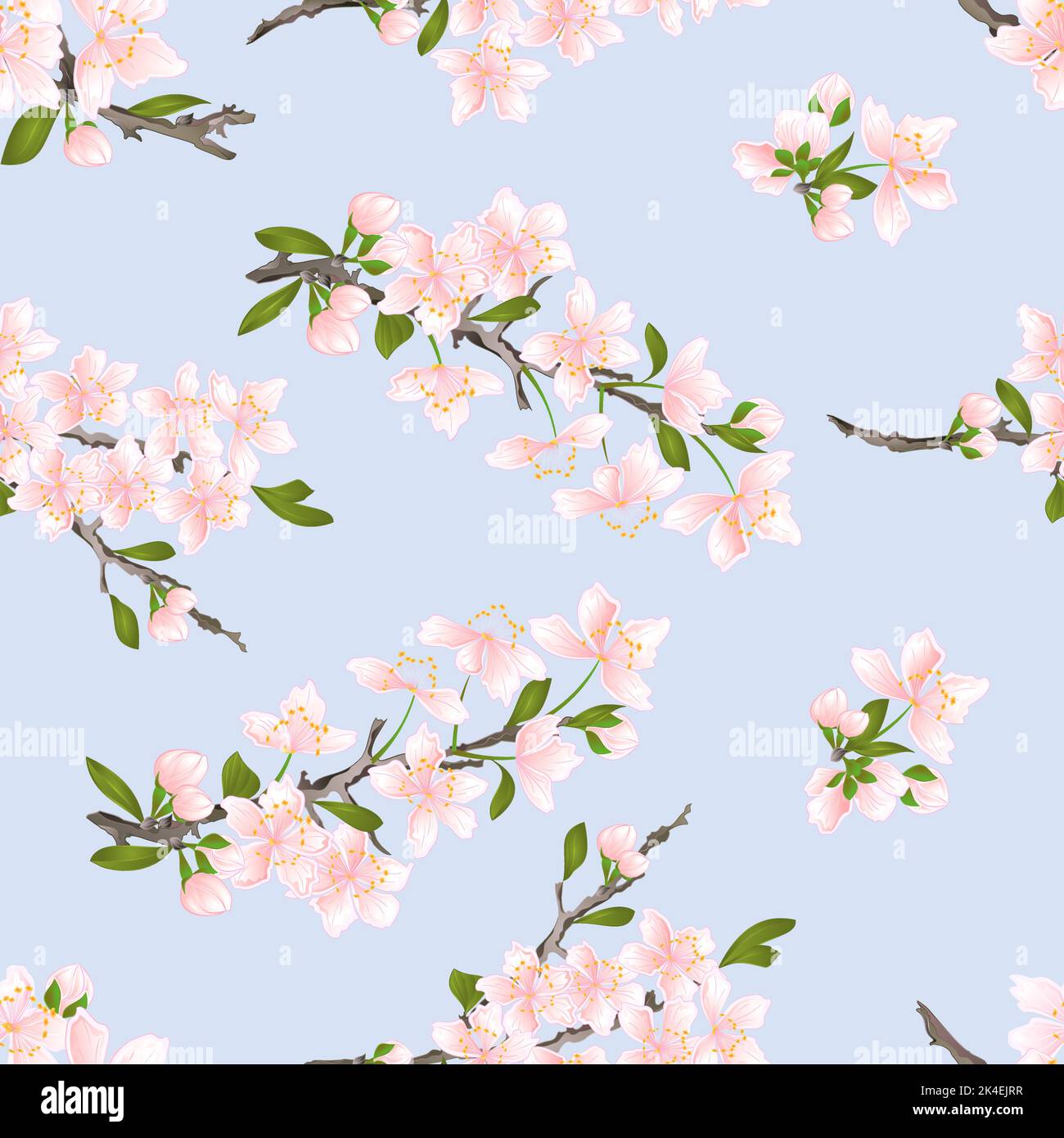 Seamless texture cherry blossoms natural background vector illustration ...