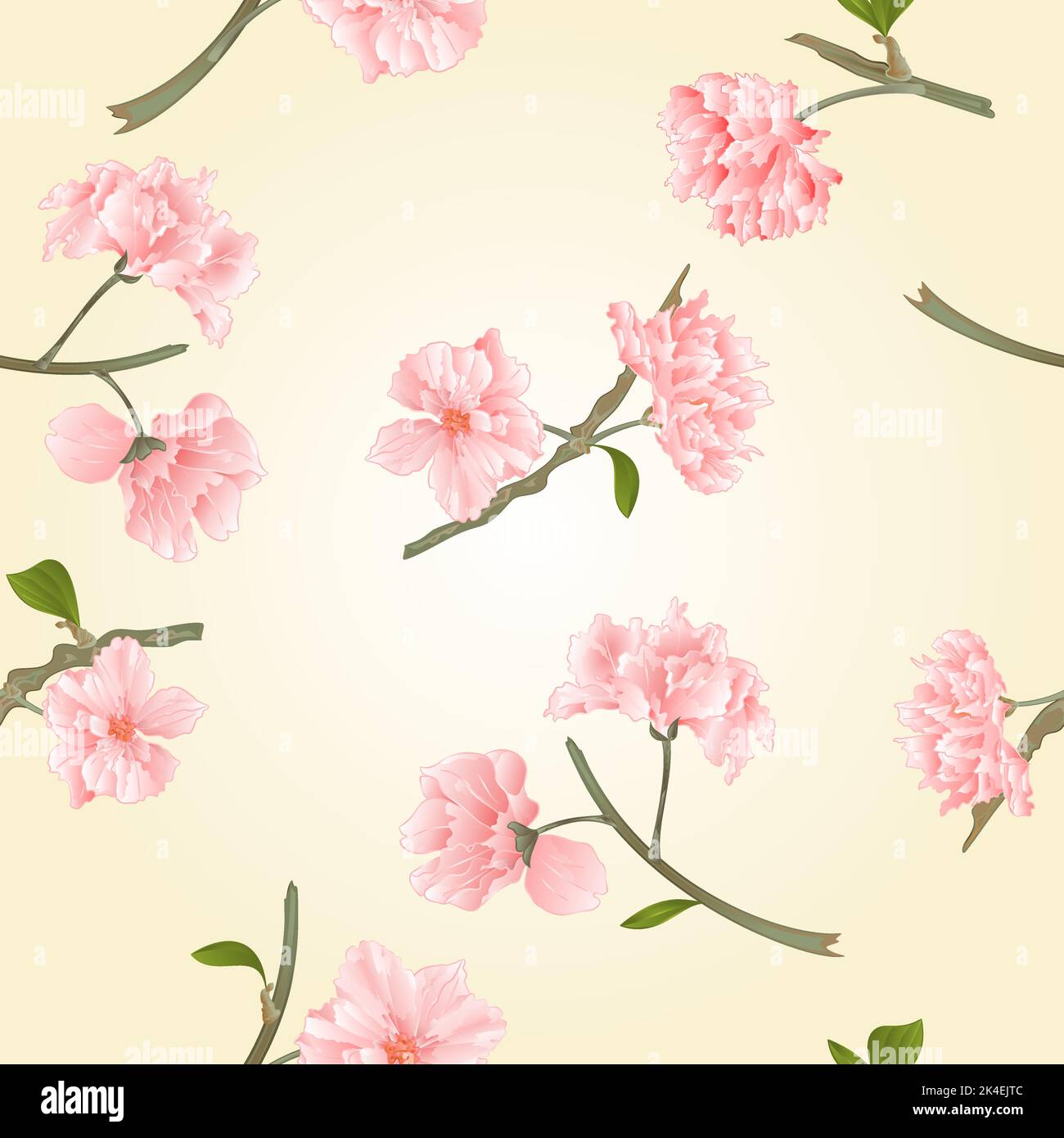 Seamless texture blossoms sakura natural background vector illustration ...