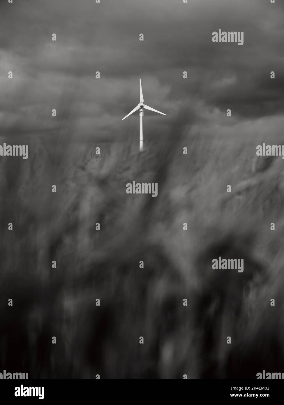 Sustainable faming hi-res stock photography and images - Alamy