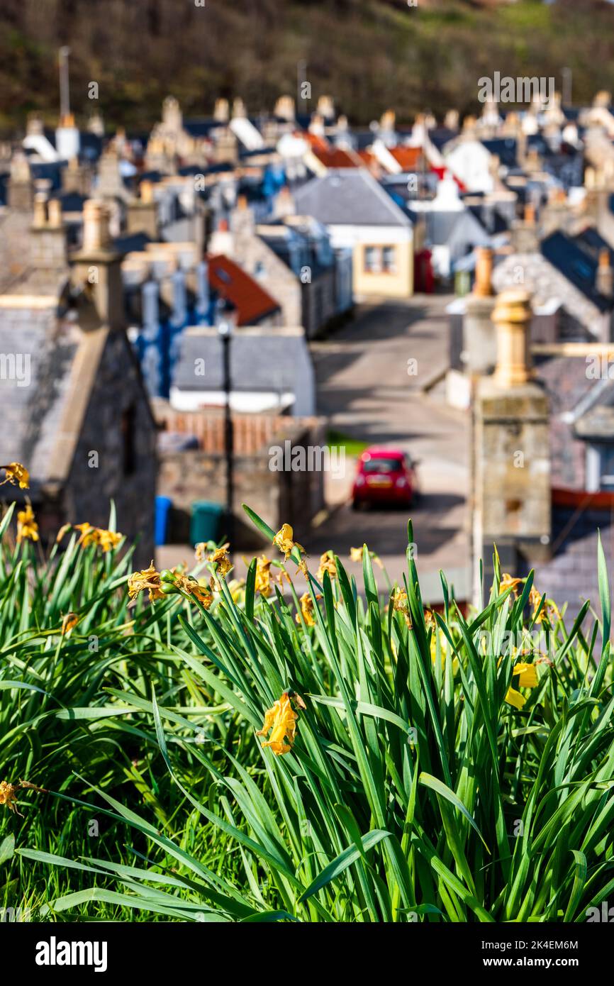 View of the small coastal town village of Buckie, Scotland UK. Quiet ...