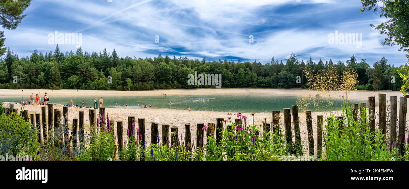 Natural swimming pool fence with flowers in the Gasselte forest of ...