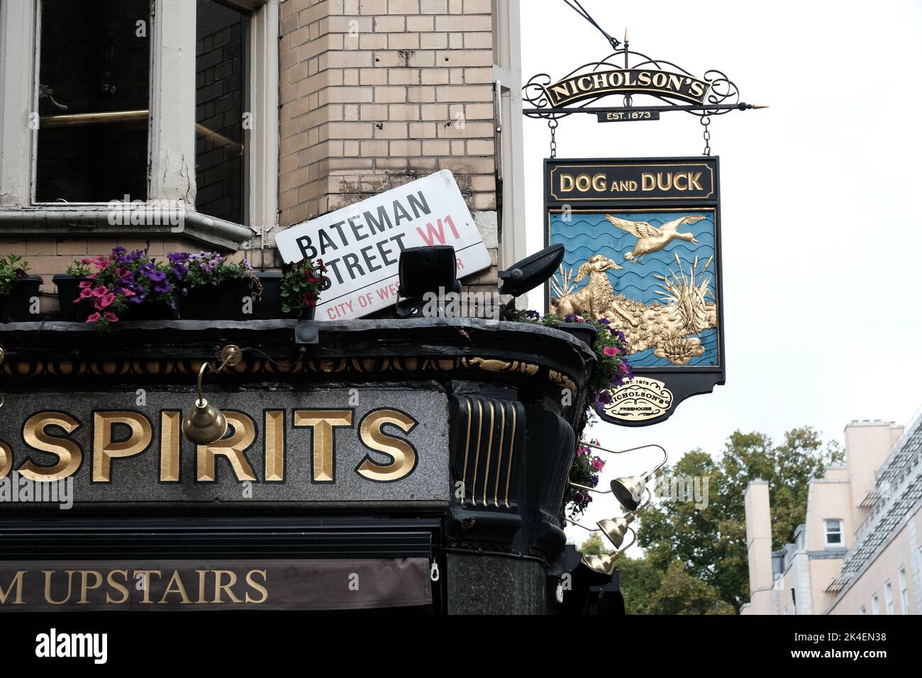Dog duck pub sign hi-res stock photography and images - Alamy
