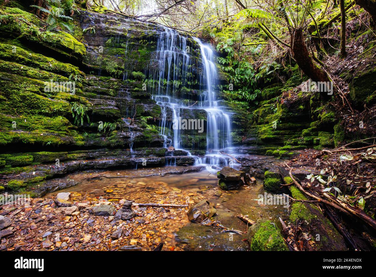 Myrtle Gully Falls in Tasmania Australia Stock Photo - Alamy