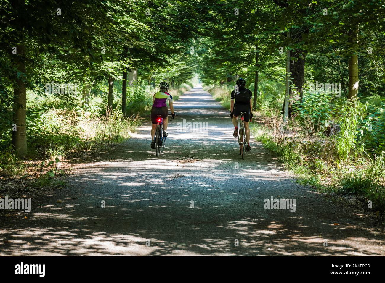 Mother and son enjoying a quiet cycle in the Arenberg Forrest, Northern ...