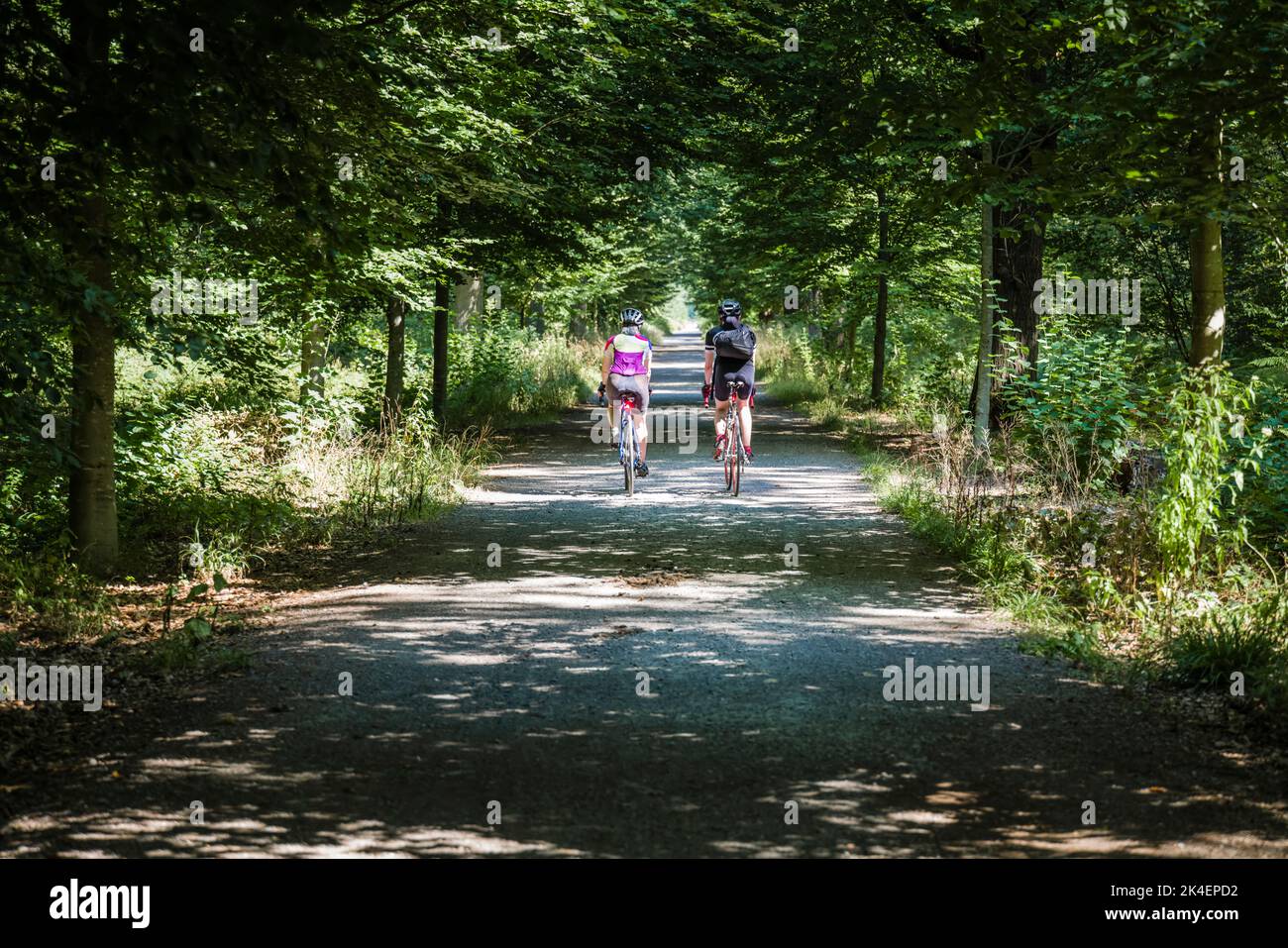 Mother and son enjoying a quiet cycle in the Arenberg Forrest, Northern ...