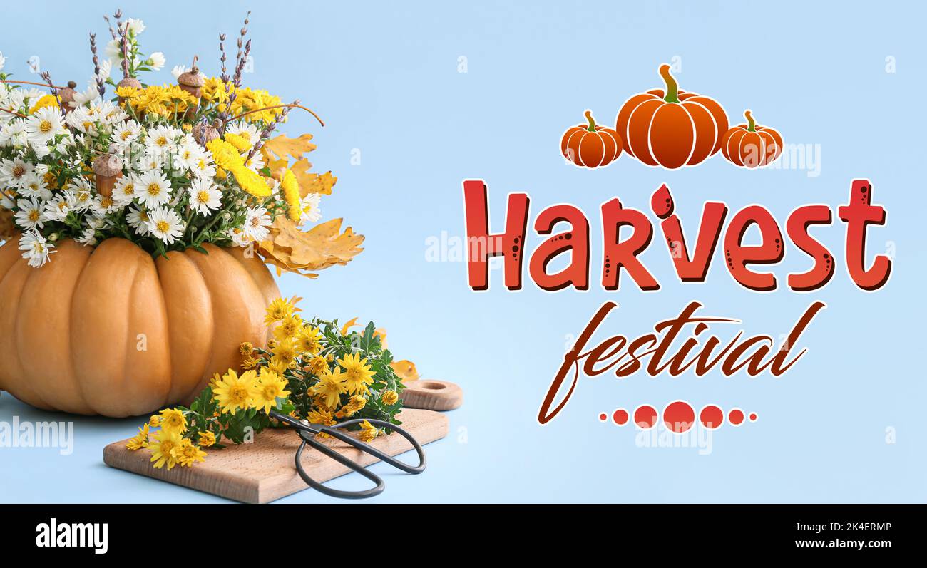 Beautiful autumn bouquet in pumpkin on light blue background. Autumn ...