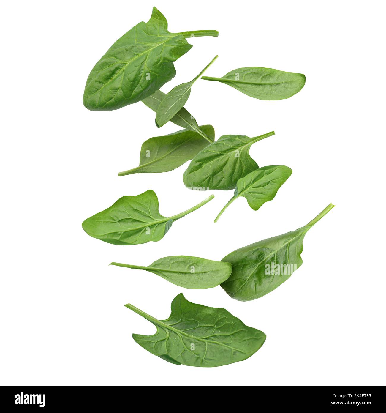 Many flying spinach leaves isolated on white Stock Photo - Alamy