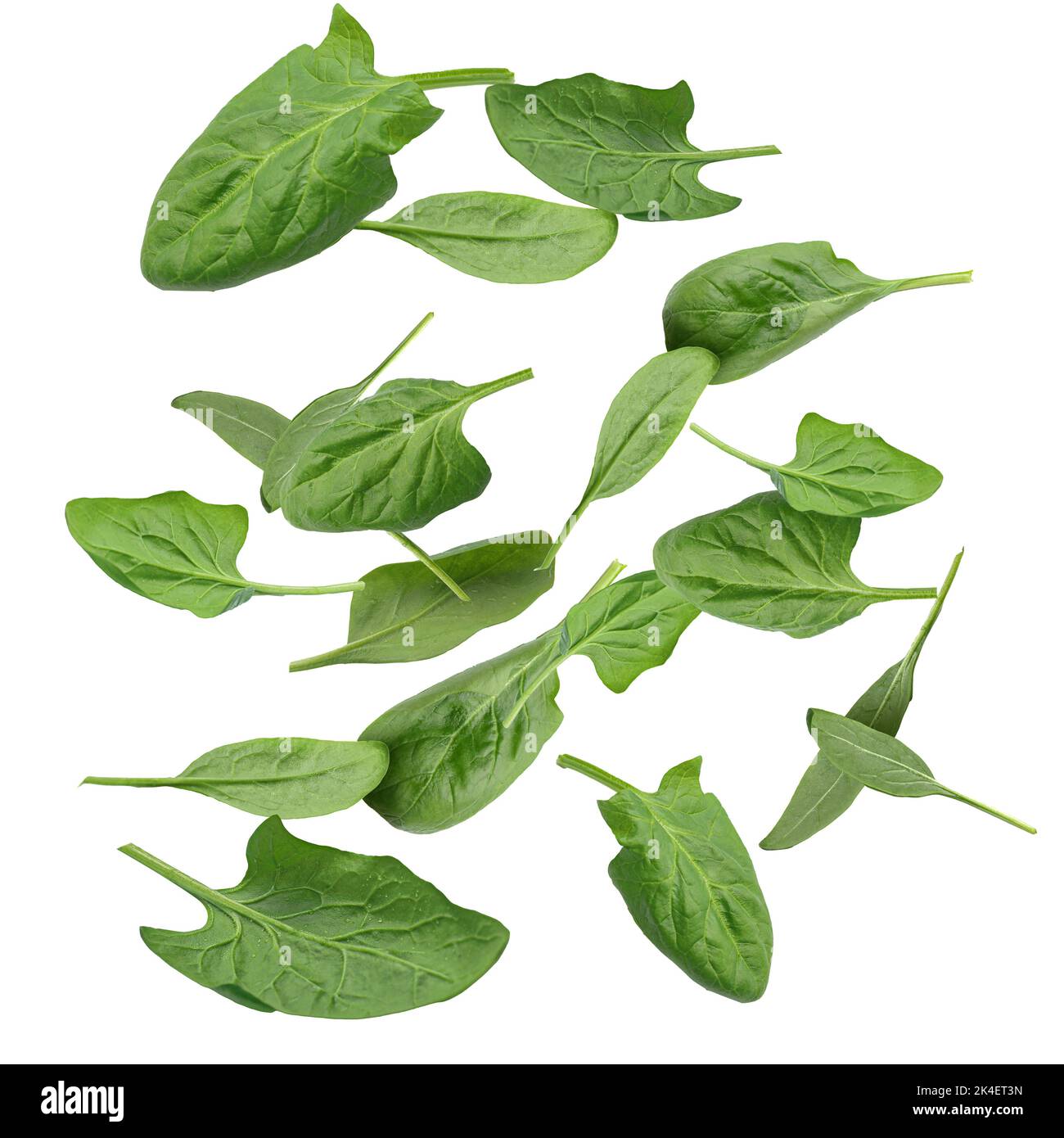 Many flying spinach leaves isolated on white Stock Photo - Alamy