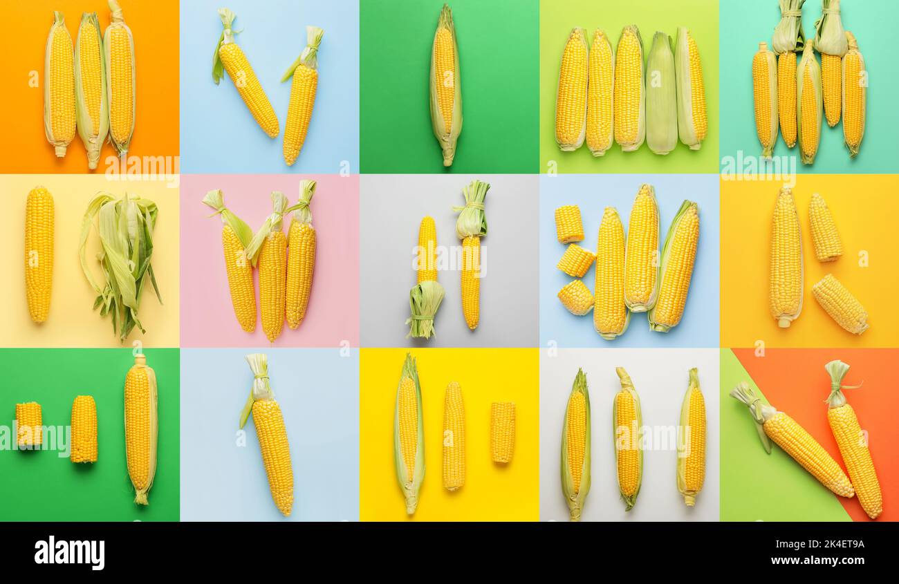 Set of many corn cobs on color background Stock Photo - Alamy