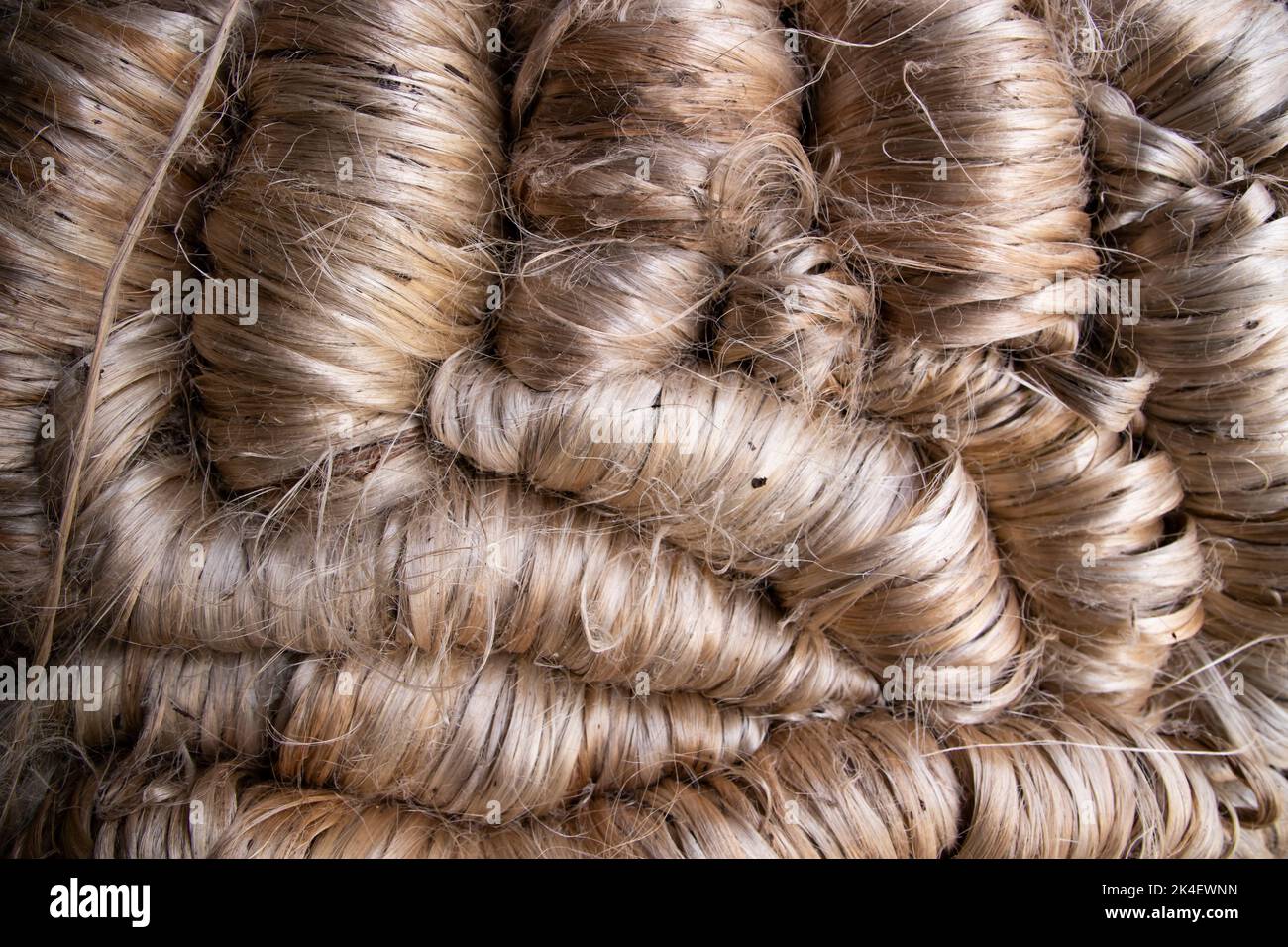 A thick bundle of Golden jute fiber Texture Background Stock Photo - Alamy