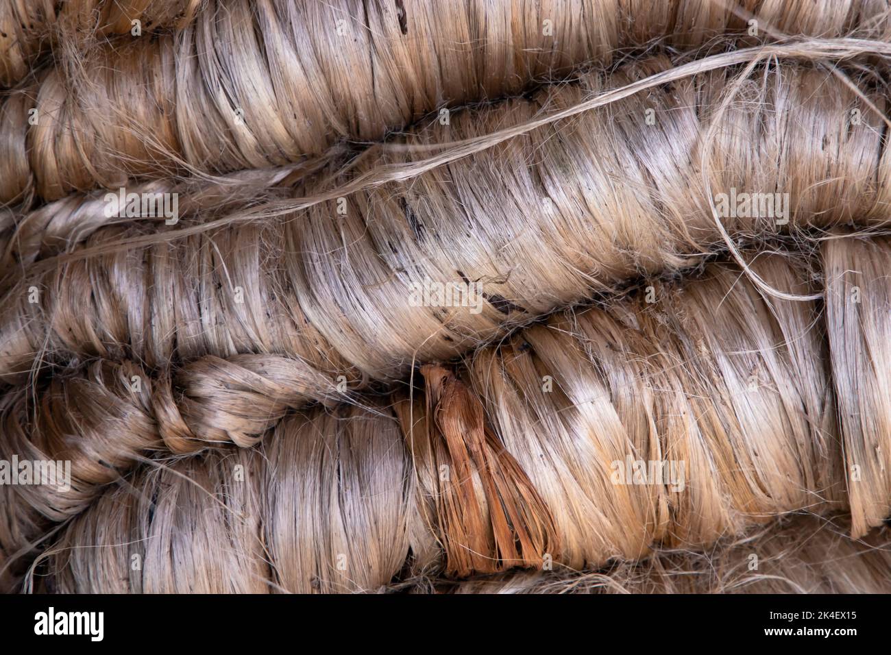 A thick bundle of Golden jute fiber Texture Background Stock Photo - Alamy