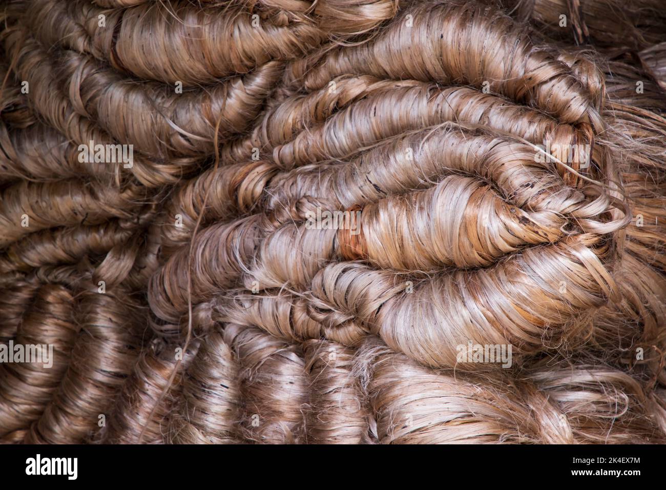 A thick bundle of Golden jute fiber Texture Background Stock Photo - Alamy