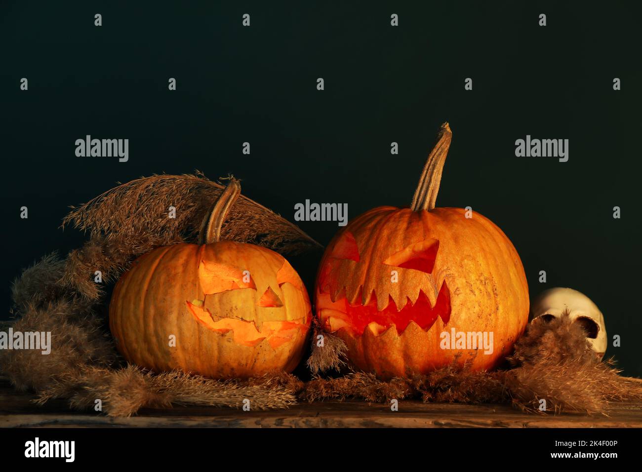 Carved Halloween pumpkins with pampas grass and skull on table against ...