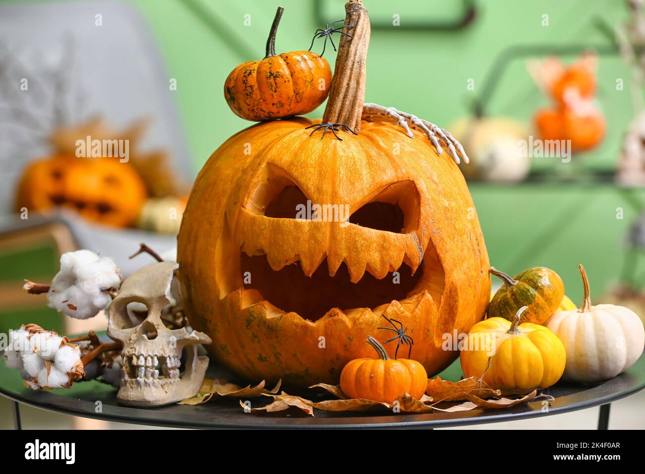 Halloween pumpkins with cotton flowers and human skull on table in ...