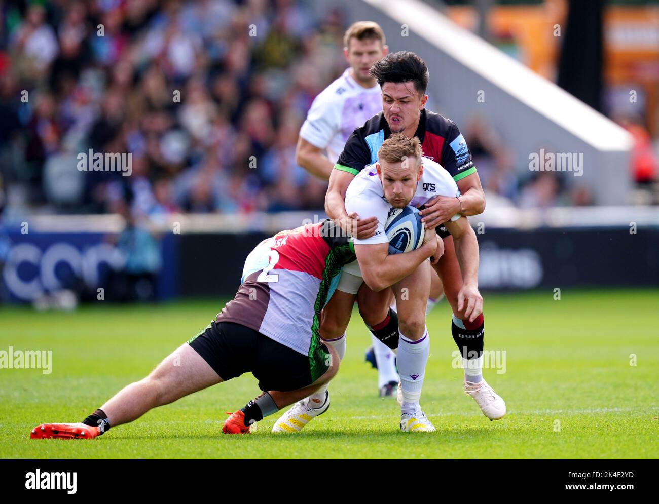 Jack musk harlequins hi-res stock photography and images - Alamy