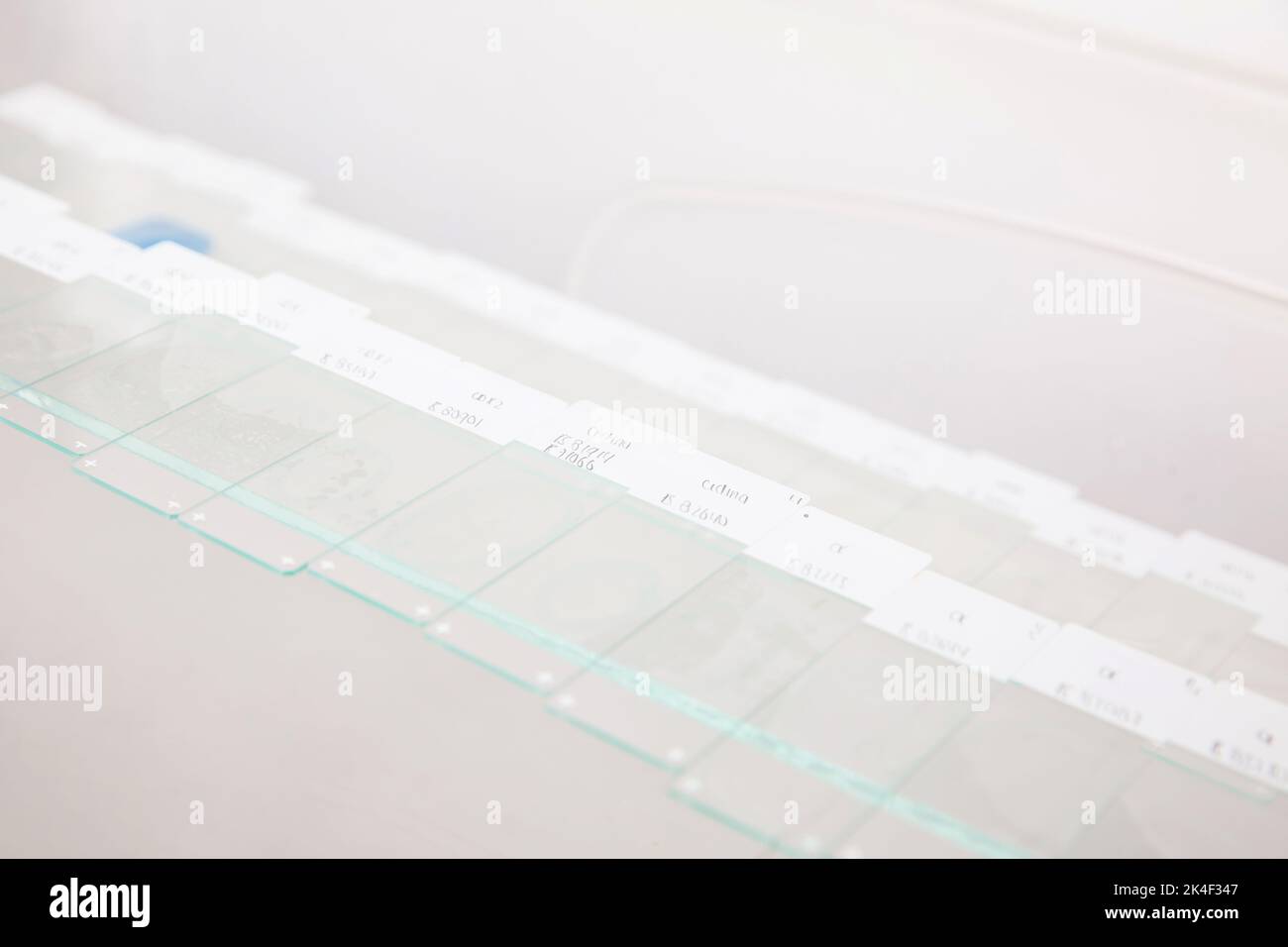 Staining tissue histology lab hi-res stock photography and images - Alamy