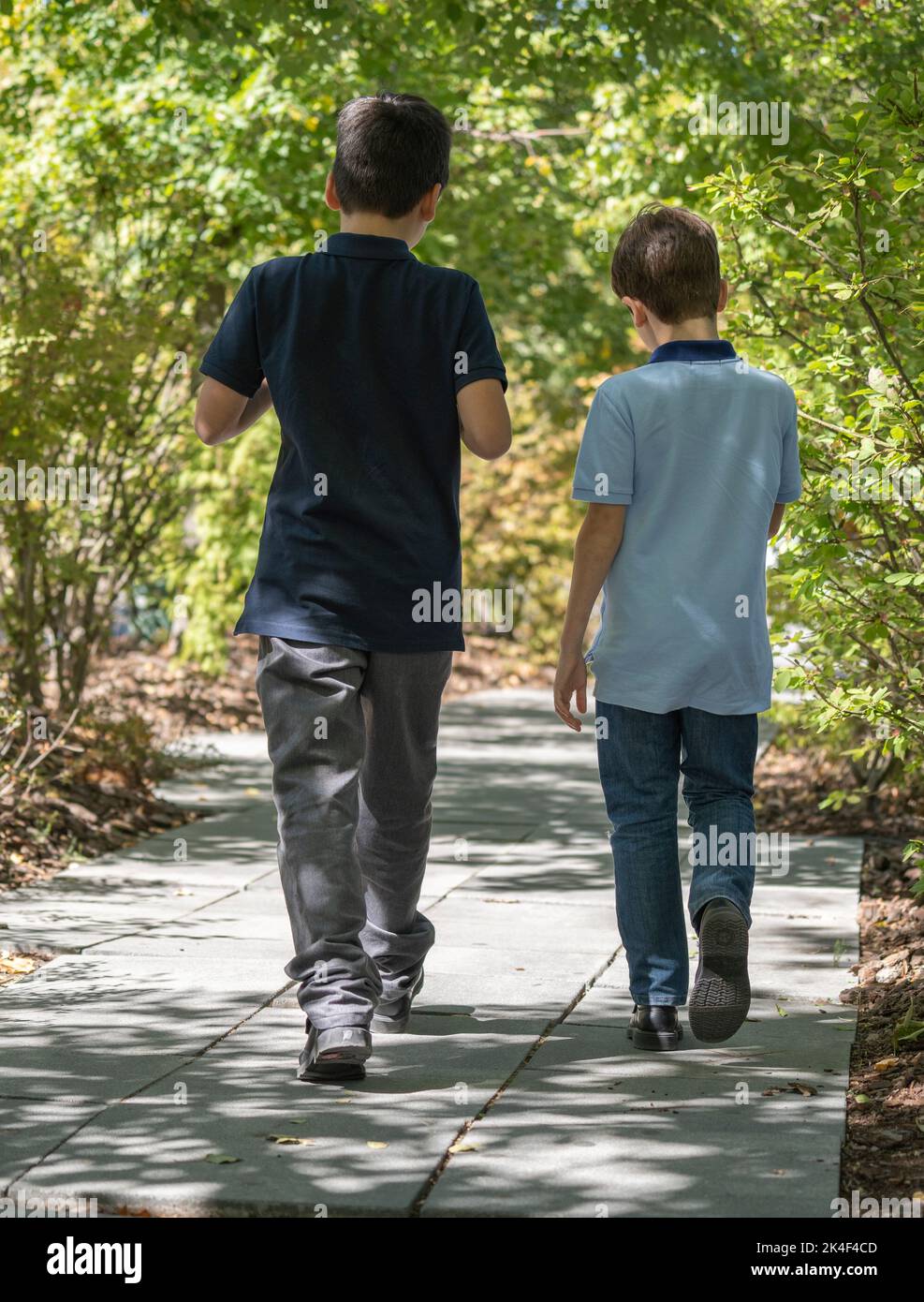 Brothers walking together hi-res stock photography and images - Alamy