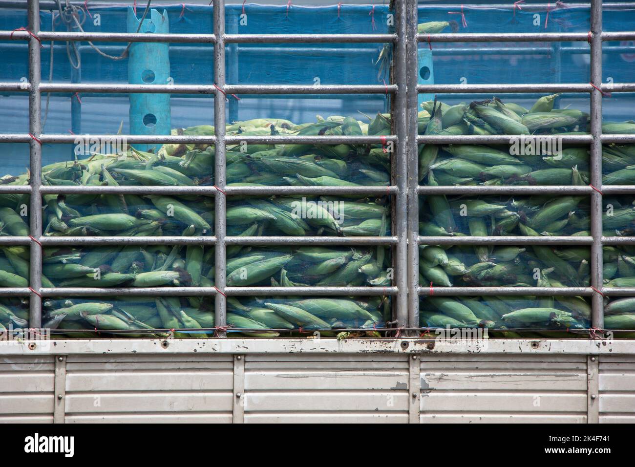 Pick up corn hi-res stock photography and images - Alamy