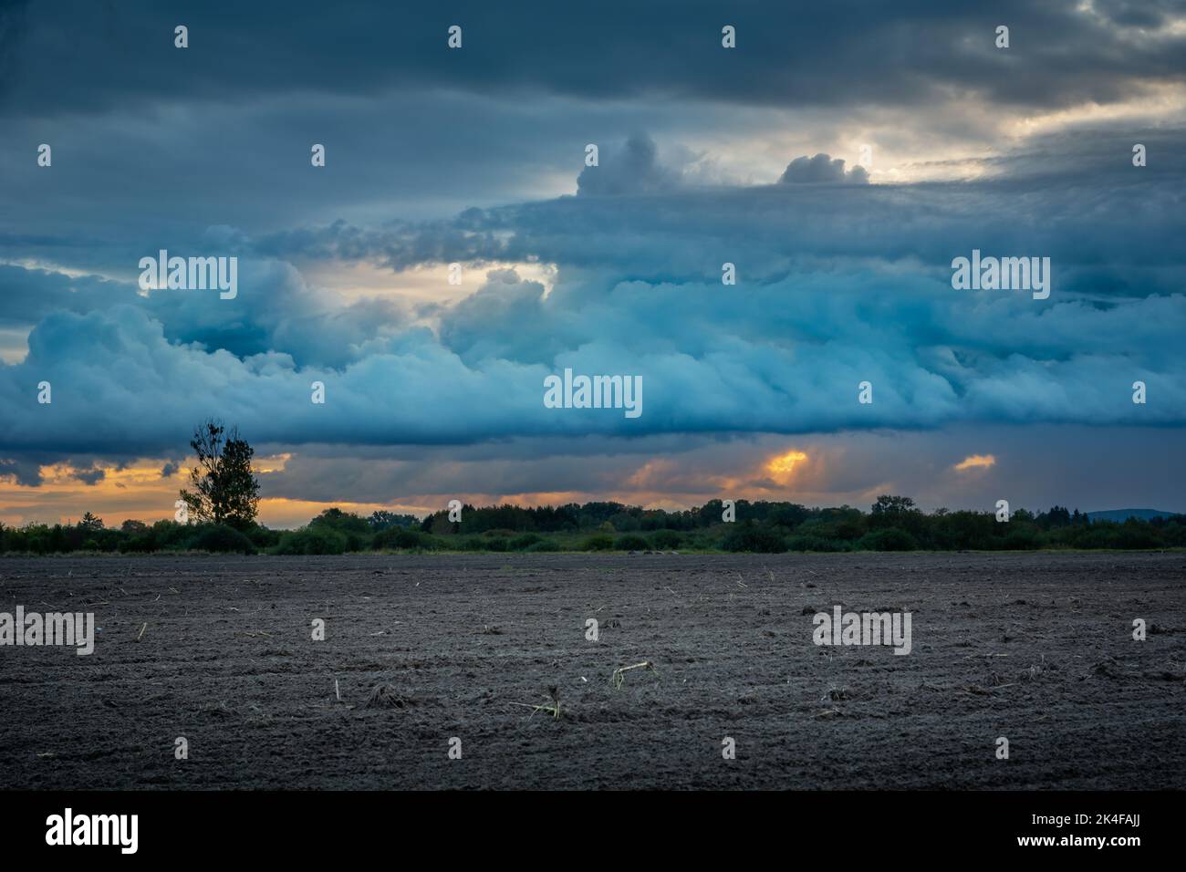 Blue evening cloudy sky over a plowed field, September view in the ...