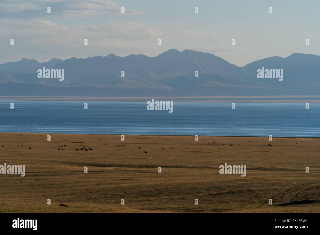 Shore and gentle rolling hills of Song Kul Lake during golden hour ...