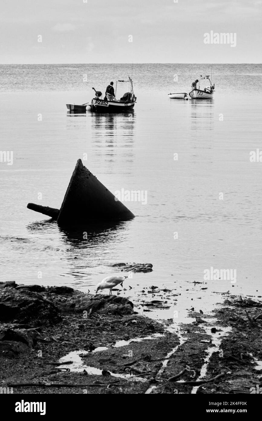Fishing off Lizard point Stock Photo - Alamy