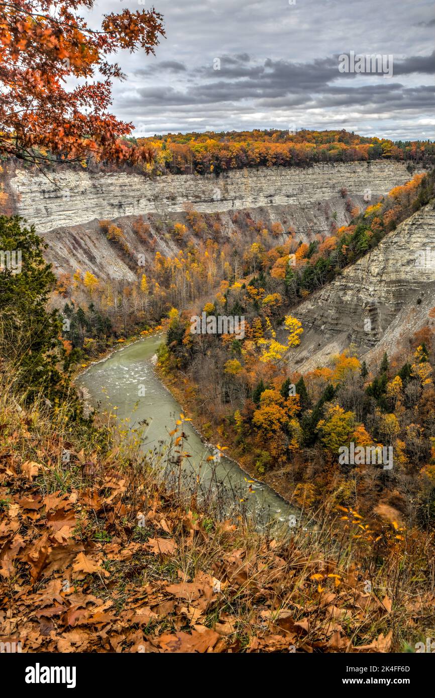fall foliage in Letchworth State Park Stock Photo - Alamy